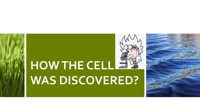 The Discovery of Cell and The Cell Theory - Grade 12 | PPTX ...