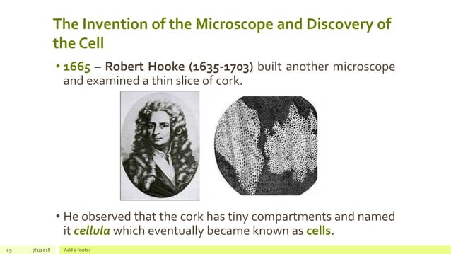 The Discovery of Cell and The Cell Theory - Grade 12 | PPTX ...
