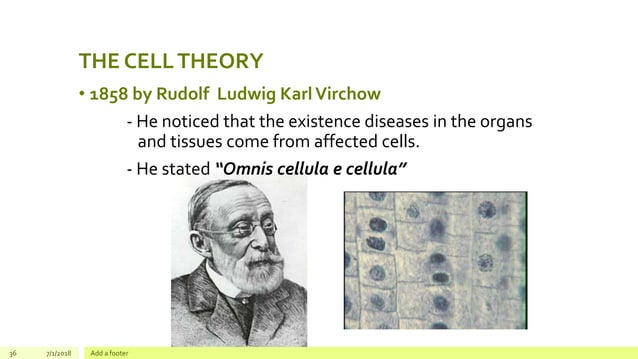 The Discovery of Cell and The Cell Theory - Grade 12 | PPTX ...