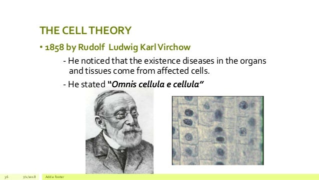 The Discovery of Cell and The Cell Theory - Grade 12