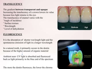 Shade selection | PPTX