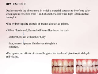 Shade selection | PPTX