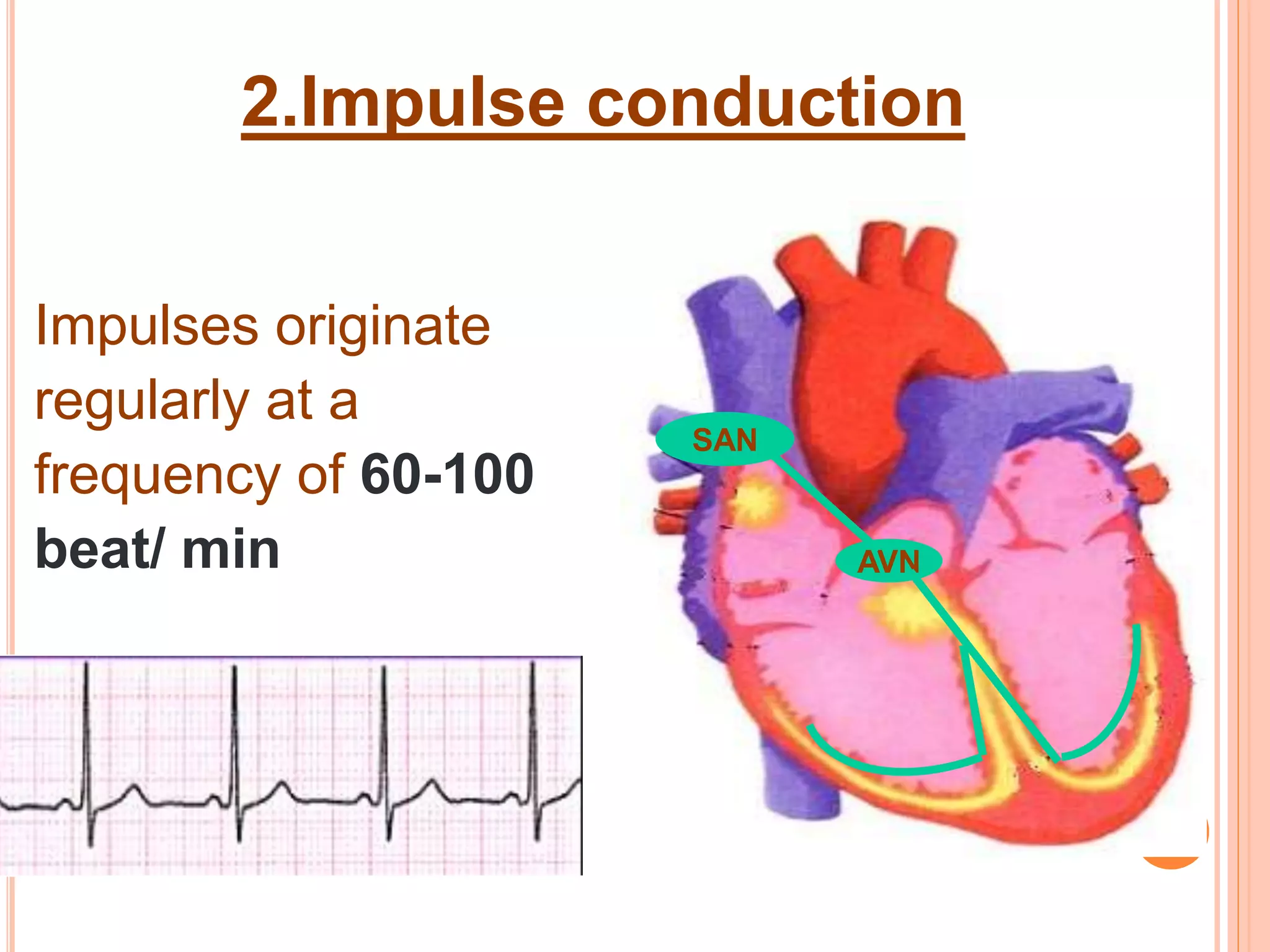 Electrophysiology of Heart & Drugs Affecting Renin Angiotensin System ...
