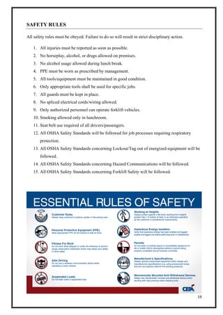 Occupatioanal Safety | PDF