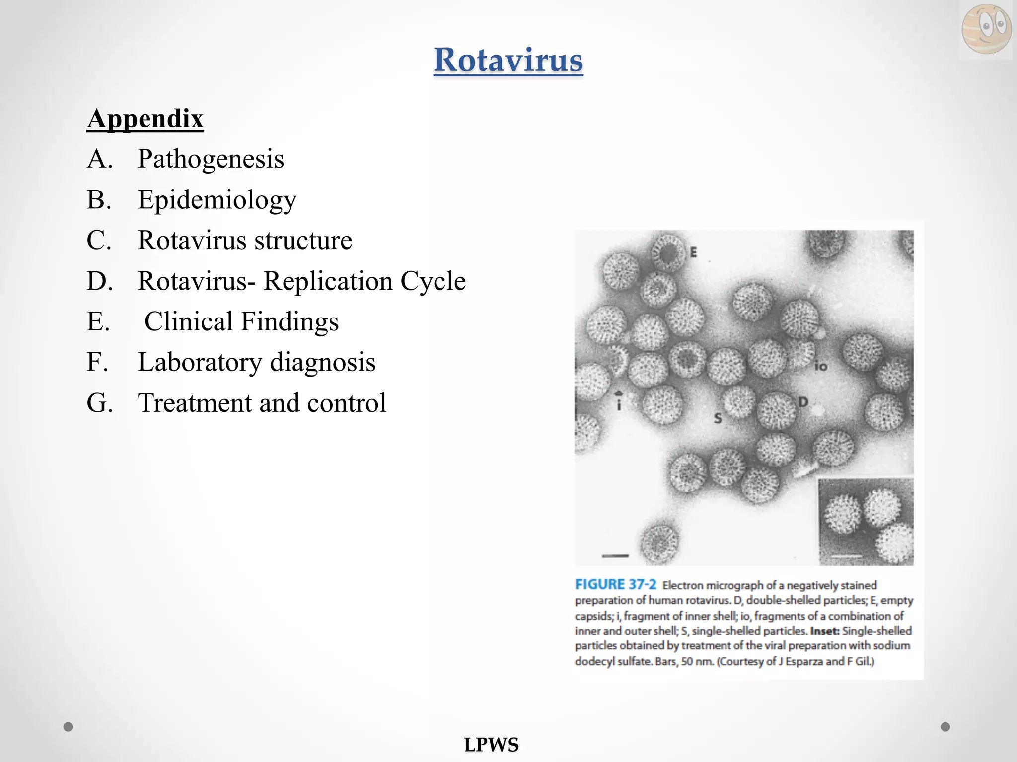 1. Rotavirus and Noravirus | PDF