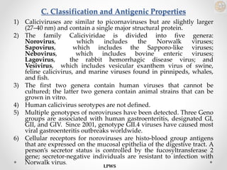 1. Rotavirus and Noravirus | PDF