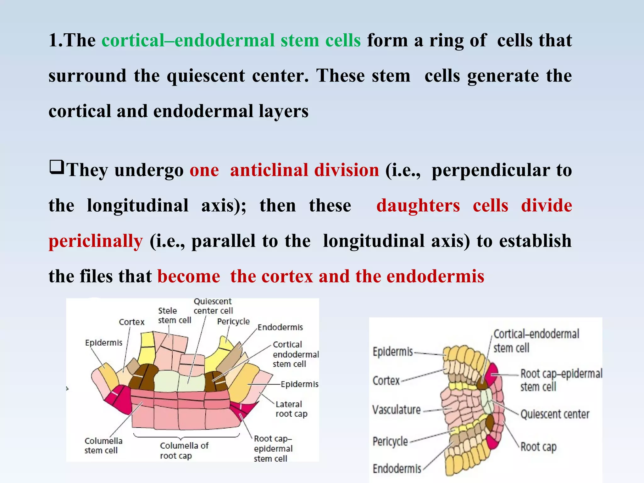 MOLECULAR AND GENETIC APPROACHES IN PLANT GROWTH AND DEVELOPMENT | PPT