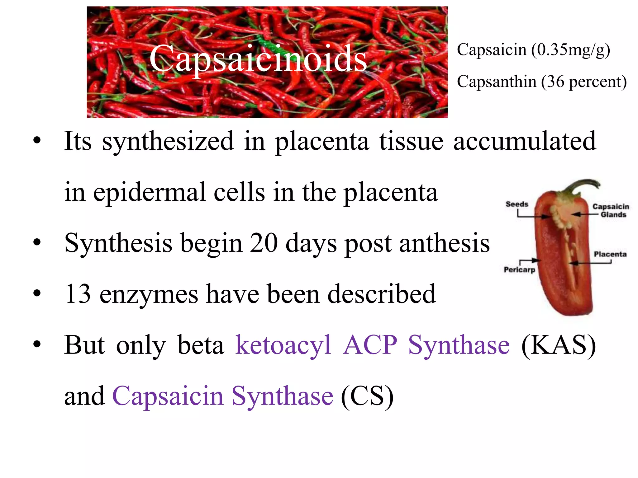 BREEDING FOR QUALITY TRAITS IN VEGETABLE CROPS | PPTX
