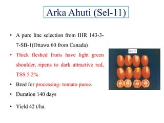 BREEDING FOR QUALITY TRAITS IN VEGETABLE CROPS | PPTX
