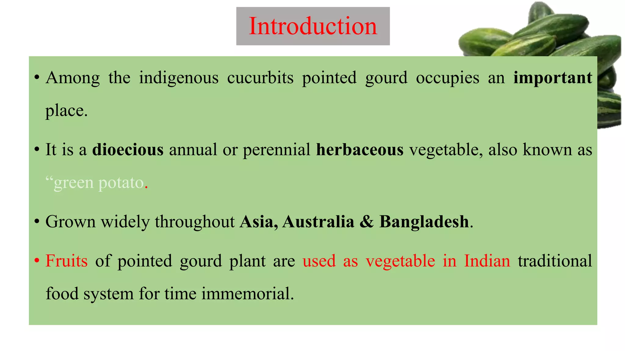 POINTED GOURD | PPTX
