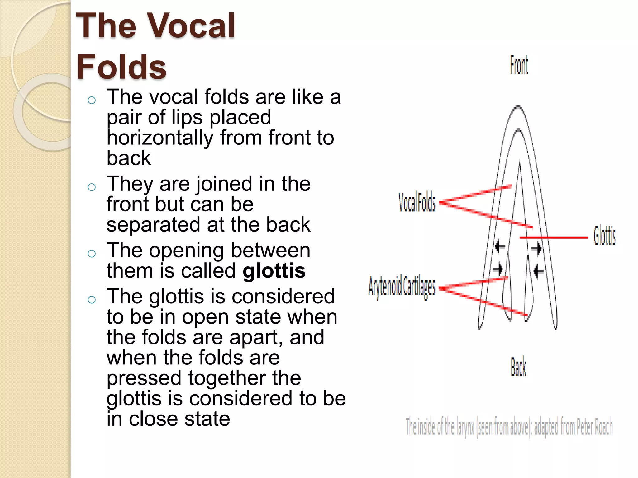 1. speech organs and their role | PPTX