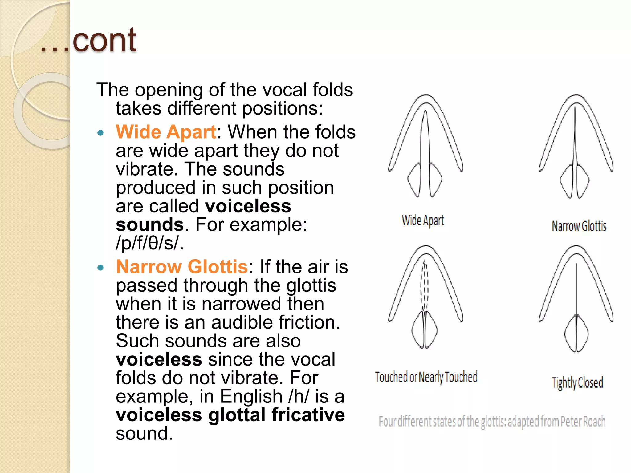 1. speech organs and their role | PPTX