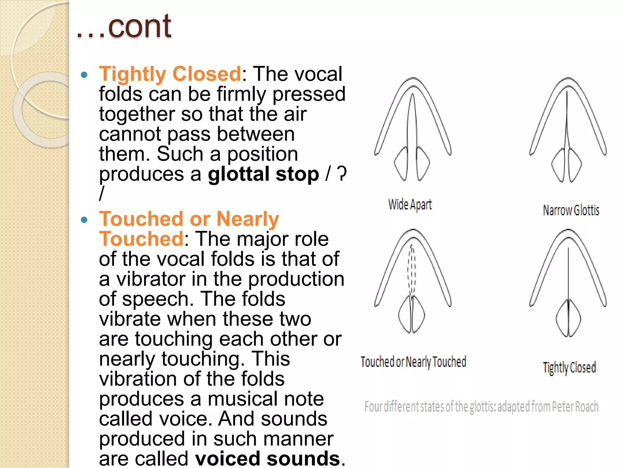 1. speech organs and their role | PPTX