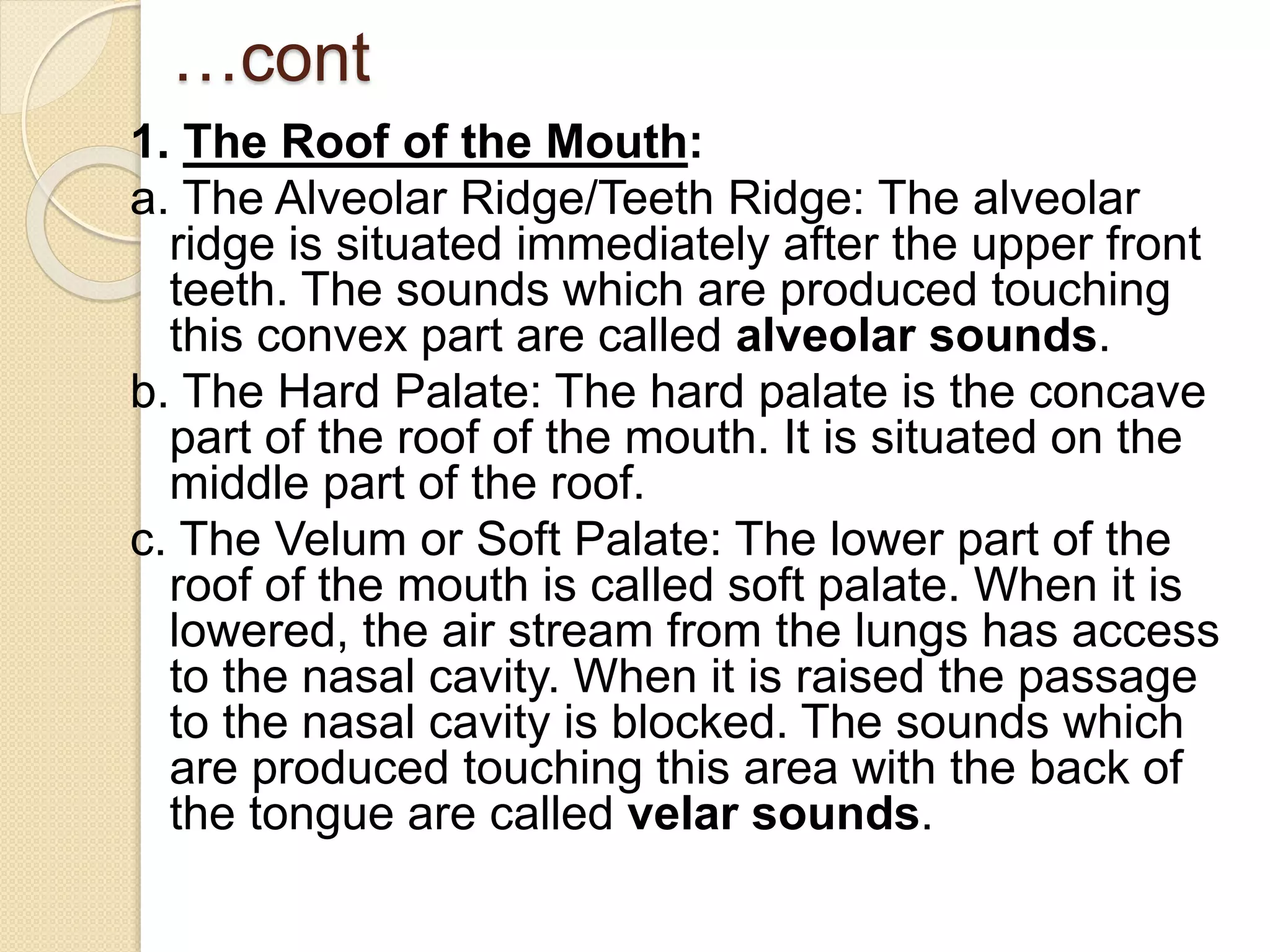 1. speech organs and their role | PPTX