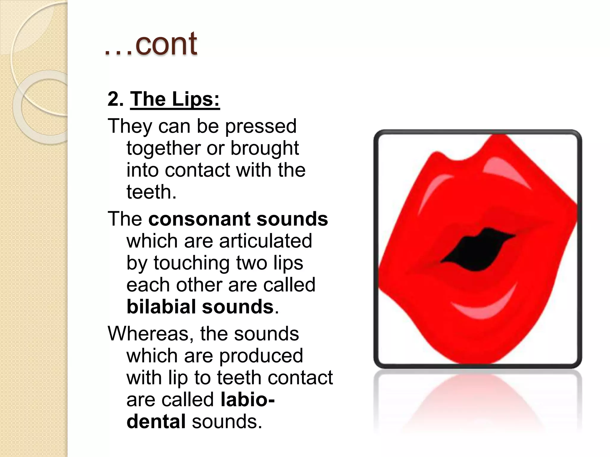1. speech organs and their role | PPTX