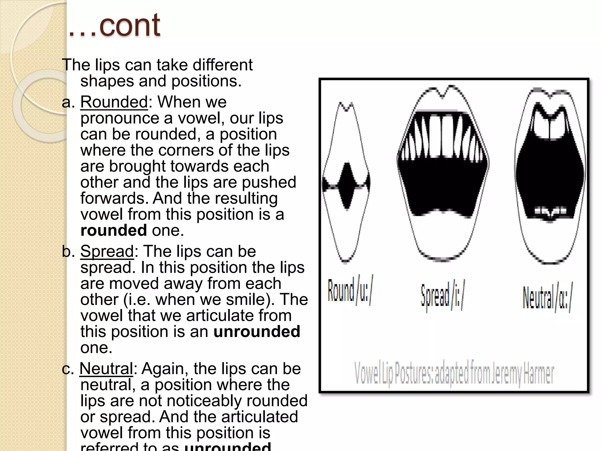 1. speech organs and their role | PPTX