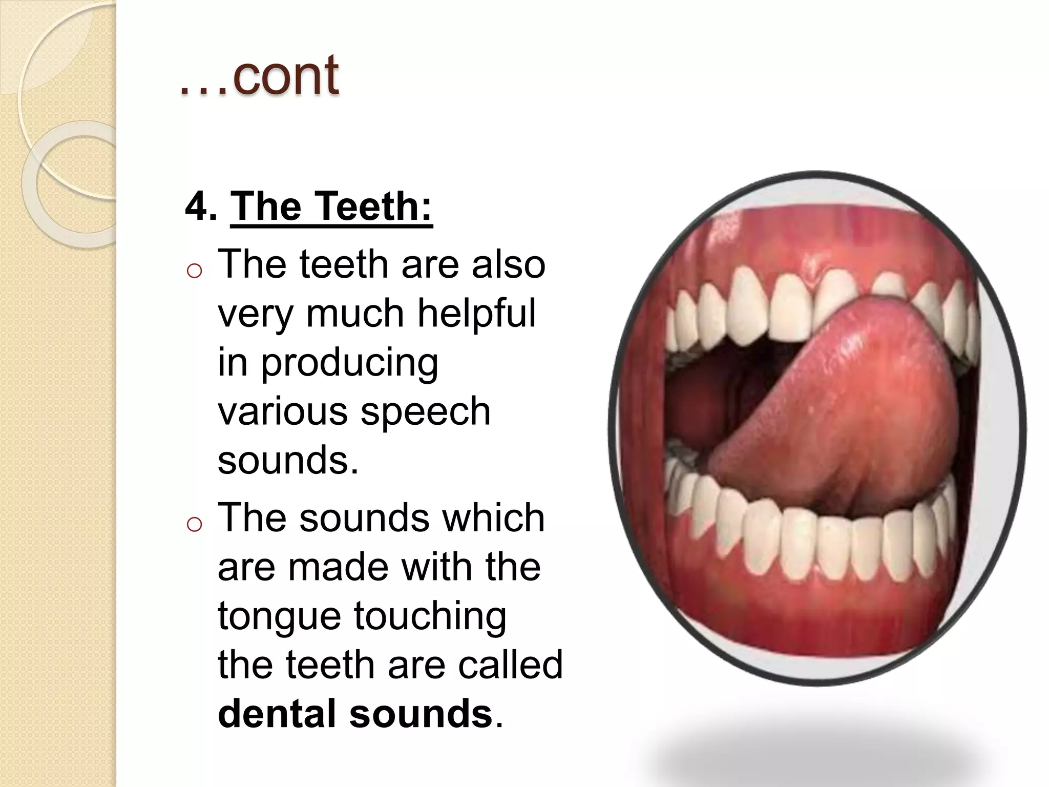 1. speech organs and their role | PPTX