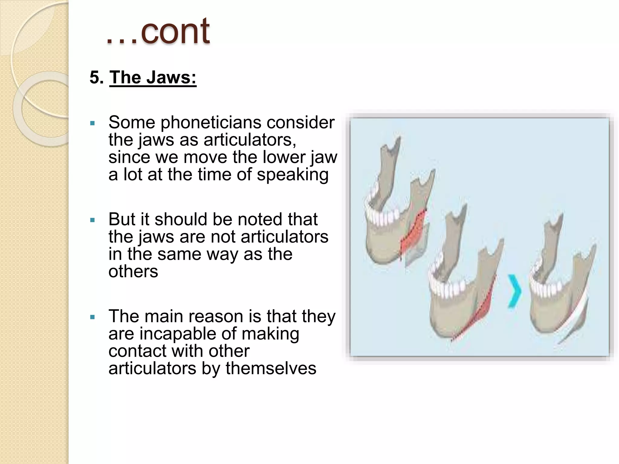 1. speech organs and their role | PPTX