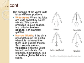 1. speech organs and their role | PPTX