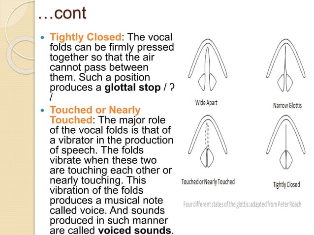 1. speech organs and their role | PPTX