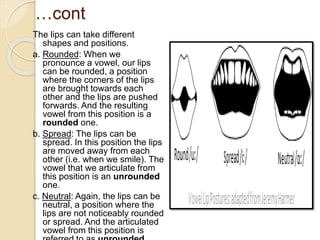1. speech organs and their role | PPTX