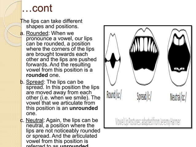 1. speech organs and their role | PPTX
