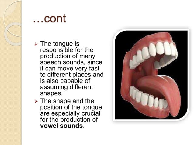 1. speech organs and their role | PPTX