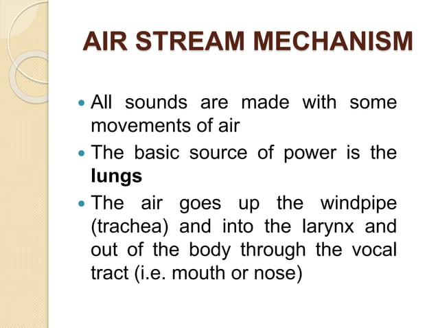 1. speech organs and their role | PPTX
