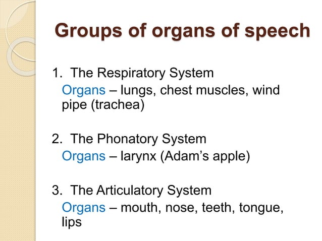 1. speech organs and their role | PPTX
