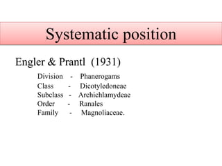 1.magnoliaceae | PPTX
