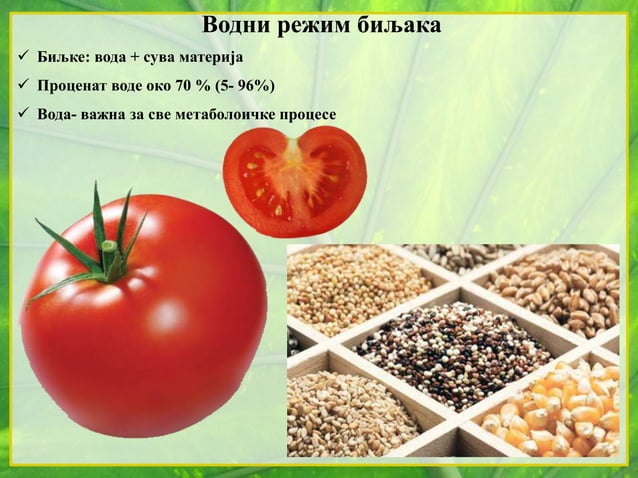 1. Vodni rezim biljaka. promet vode kroz biljku | PPTX