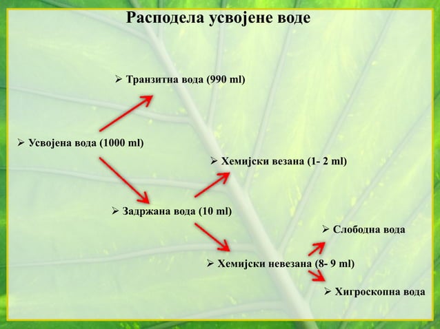 1. Vodni rezim biljaka. promet vode kroz biljku | PPTX