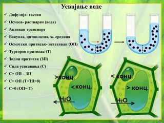 1. Vodni rezim biljaka. promet vode kroz biljku | PPTX