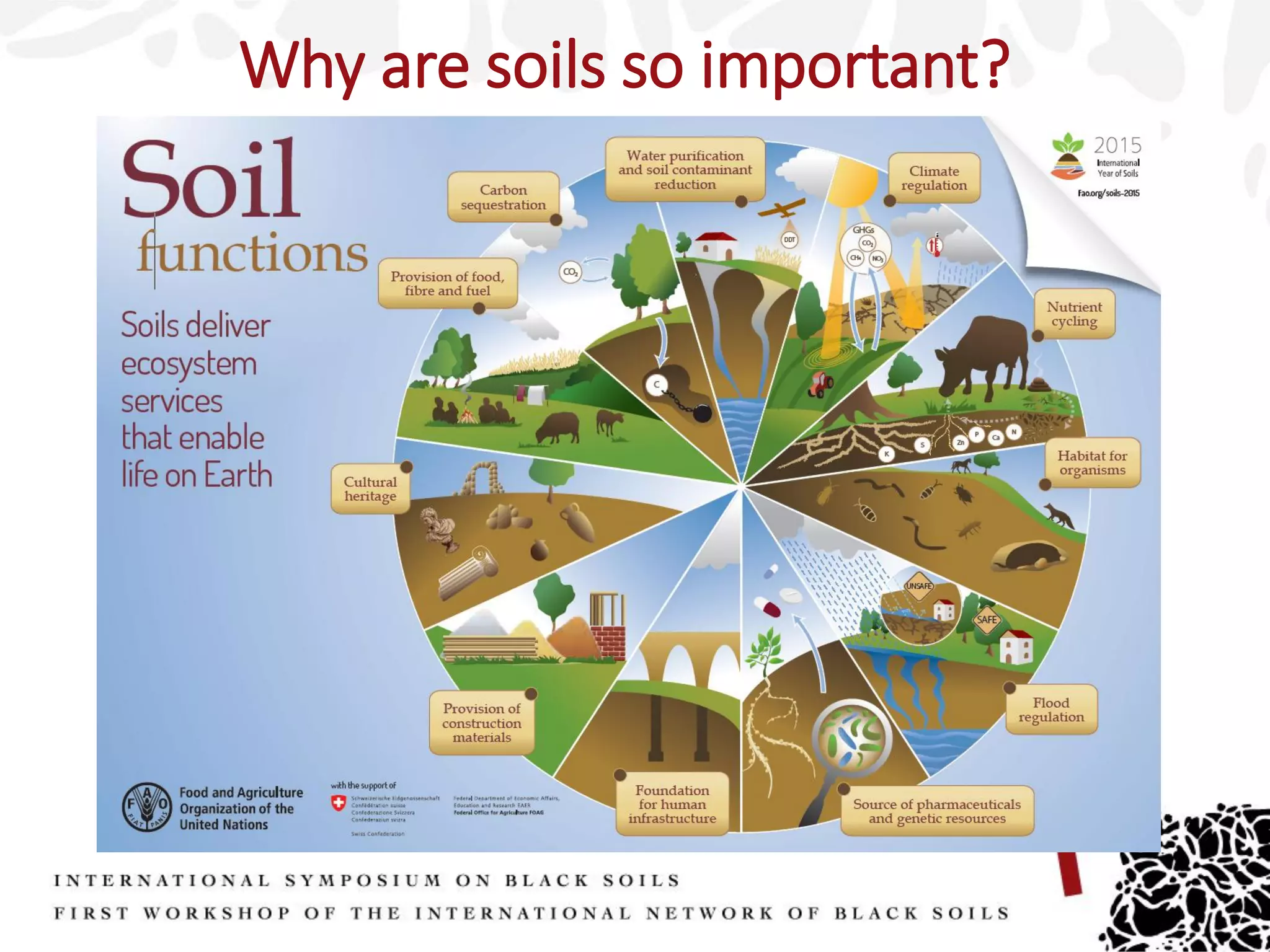 Why are black Soils important? - Ronald Vargas, FAO | PDF