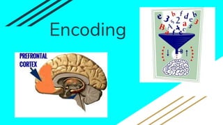 1.1 how we learn | PPTX
