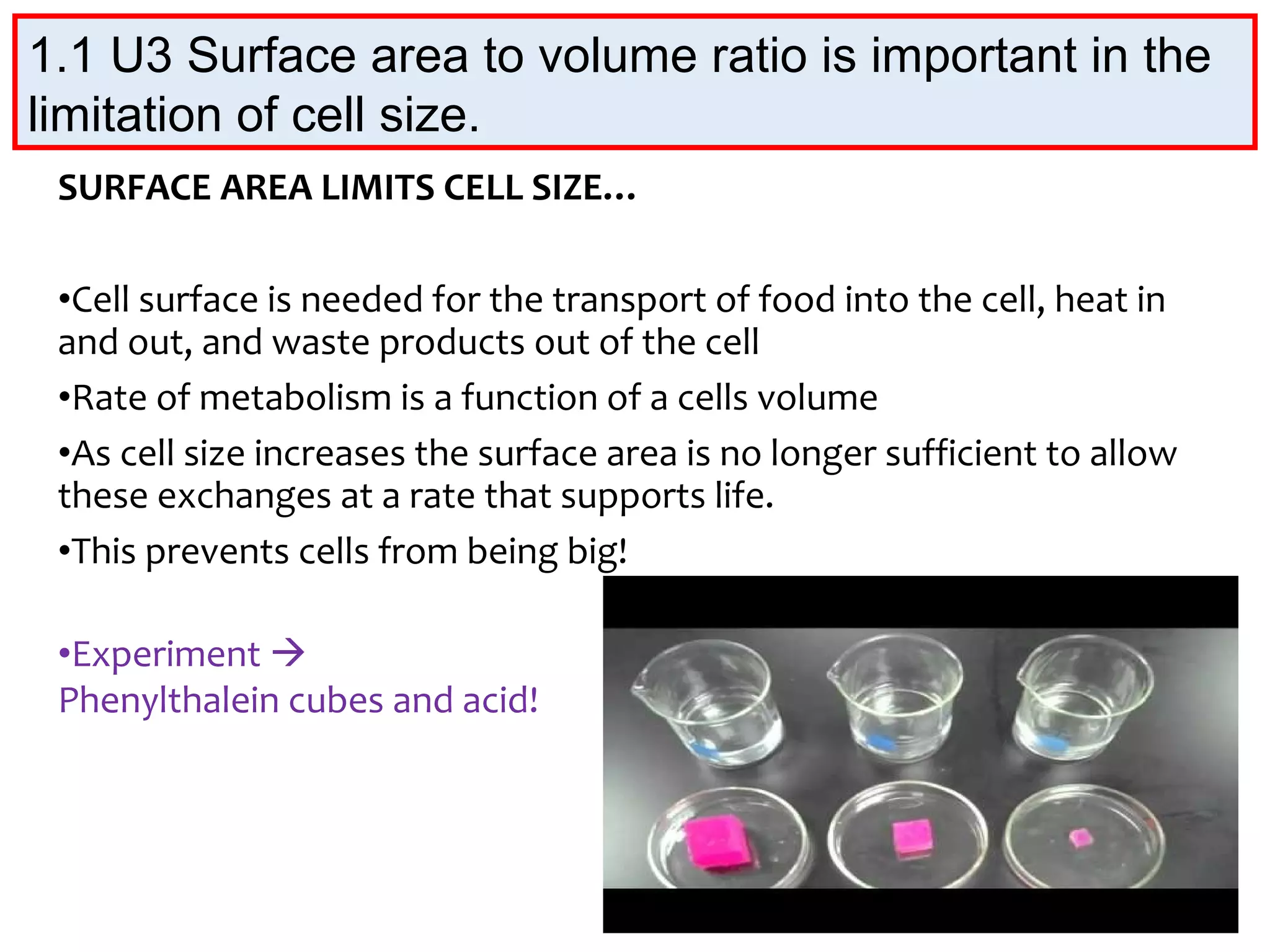 1.1 introduction-to-cells | PPT
