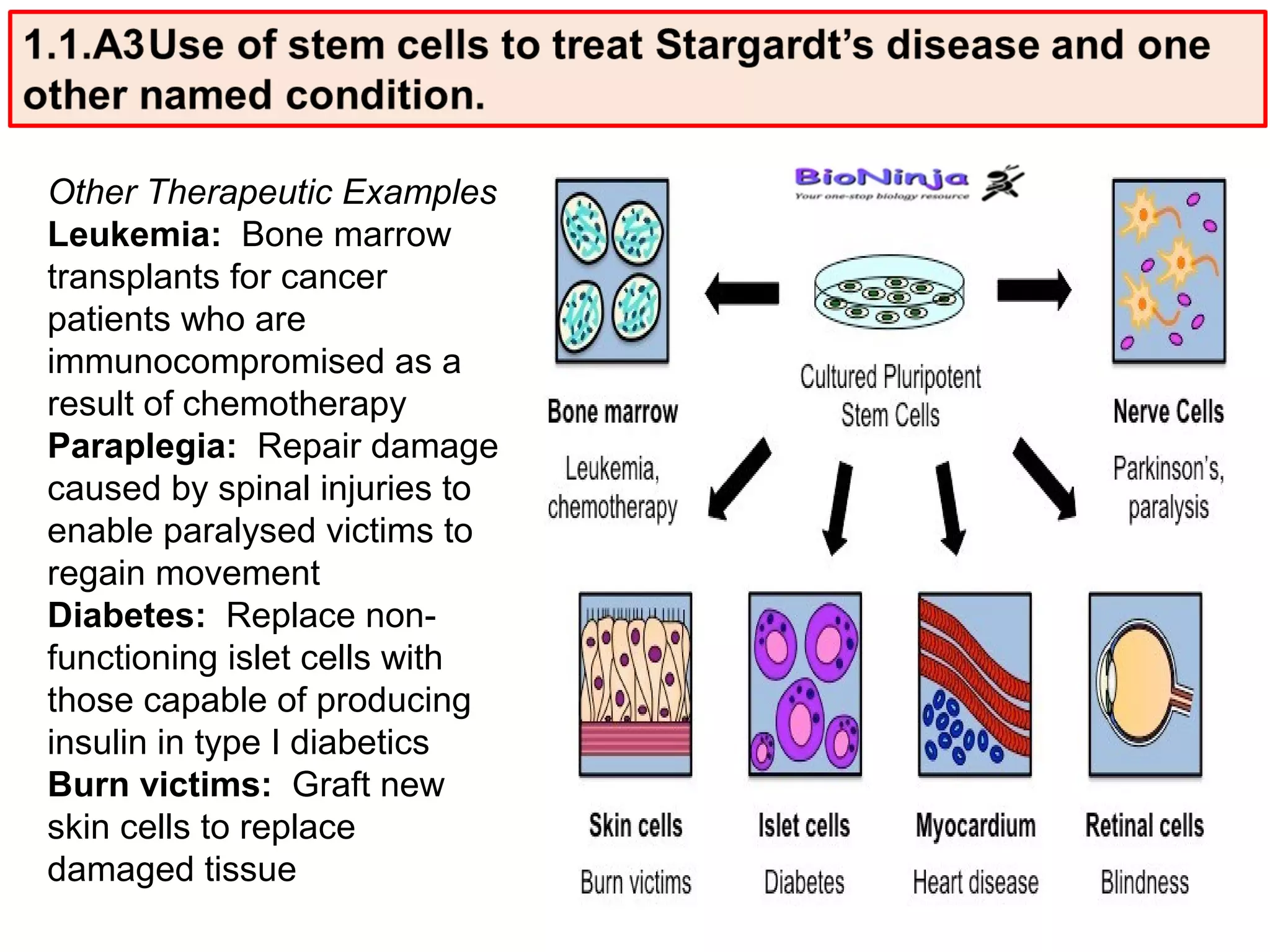 1.1 introduction-to-cells | PPT