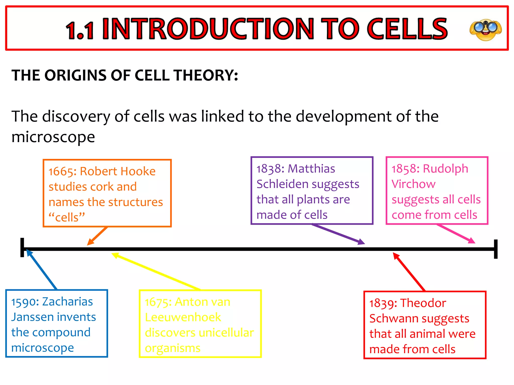 1.1 introduction-to-cells | PPT