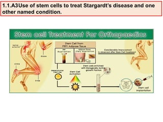 1.1 introduction-to-cells | PPT
