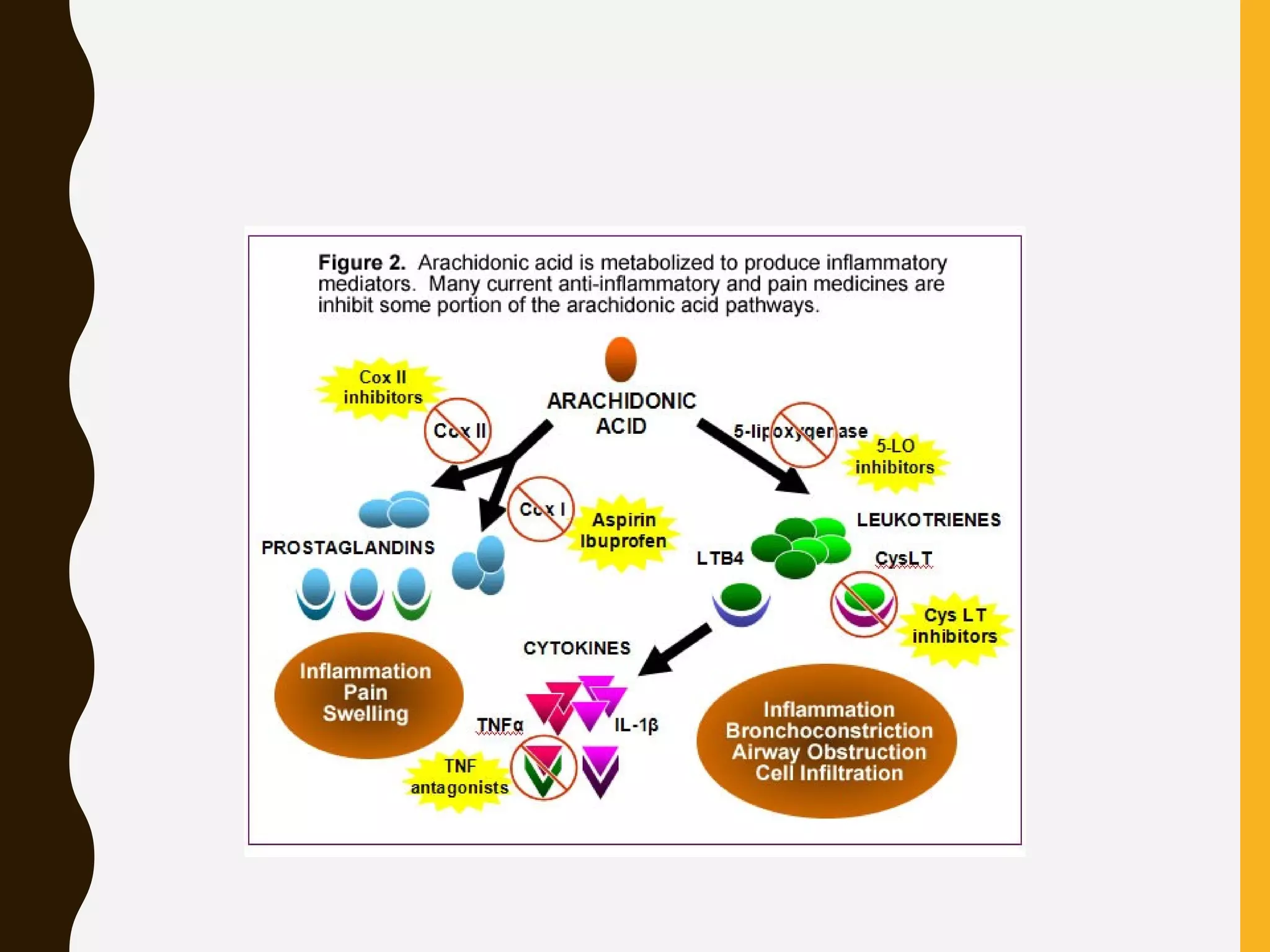 Classical ‘renal’ indications for starting renal replacement therapy ...