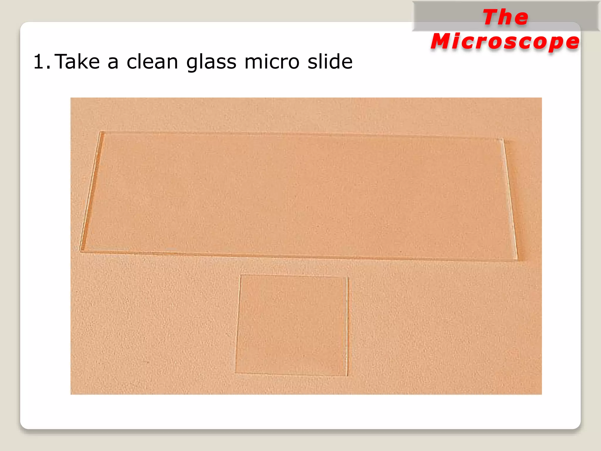 1. microscope, potato, maize | PPTX