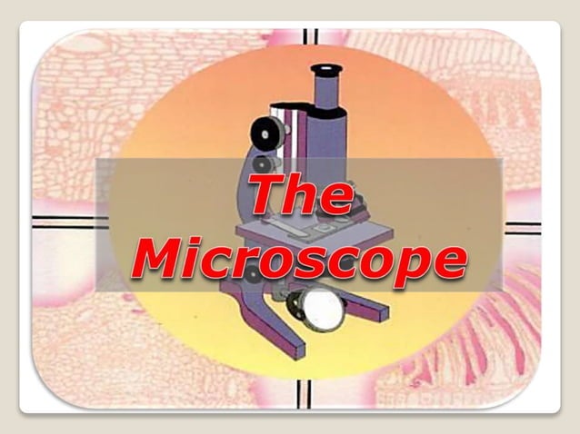 1. microscope, potato, maize | PPTX | Chemistry | Science