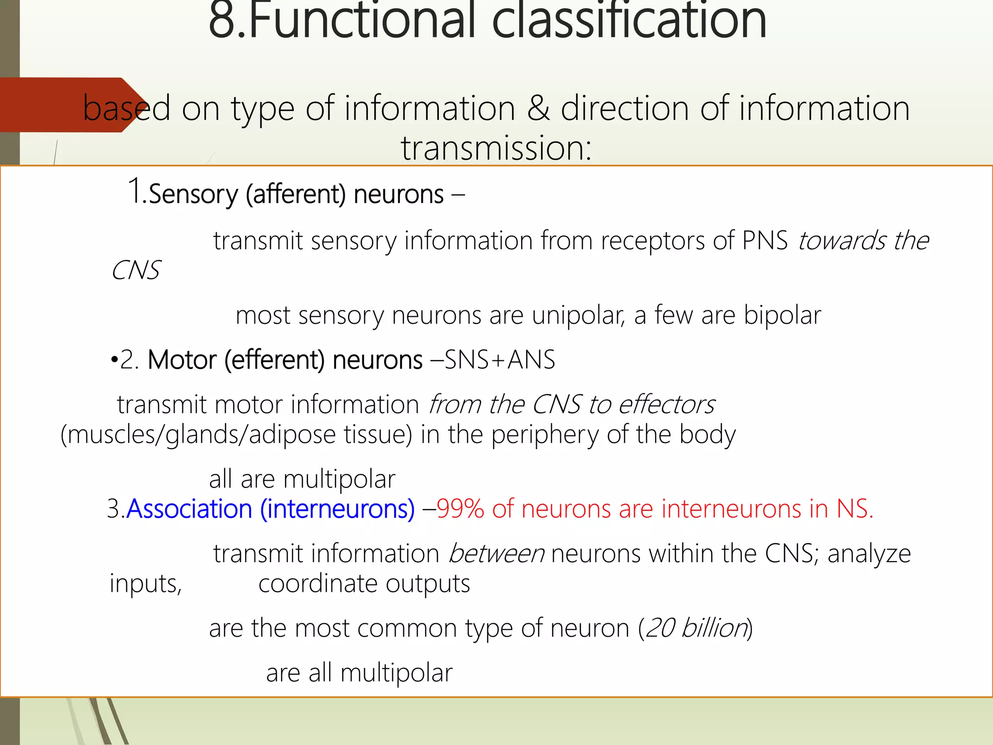 1. classification of nerves BY DR QAZI IMTIAZ RASOOL | PPT