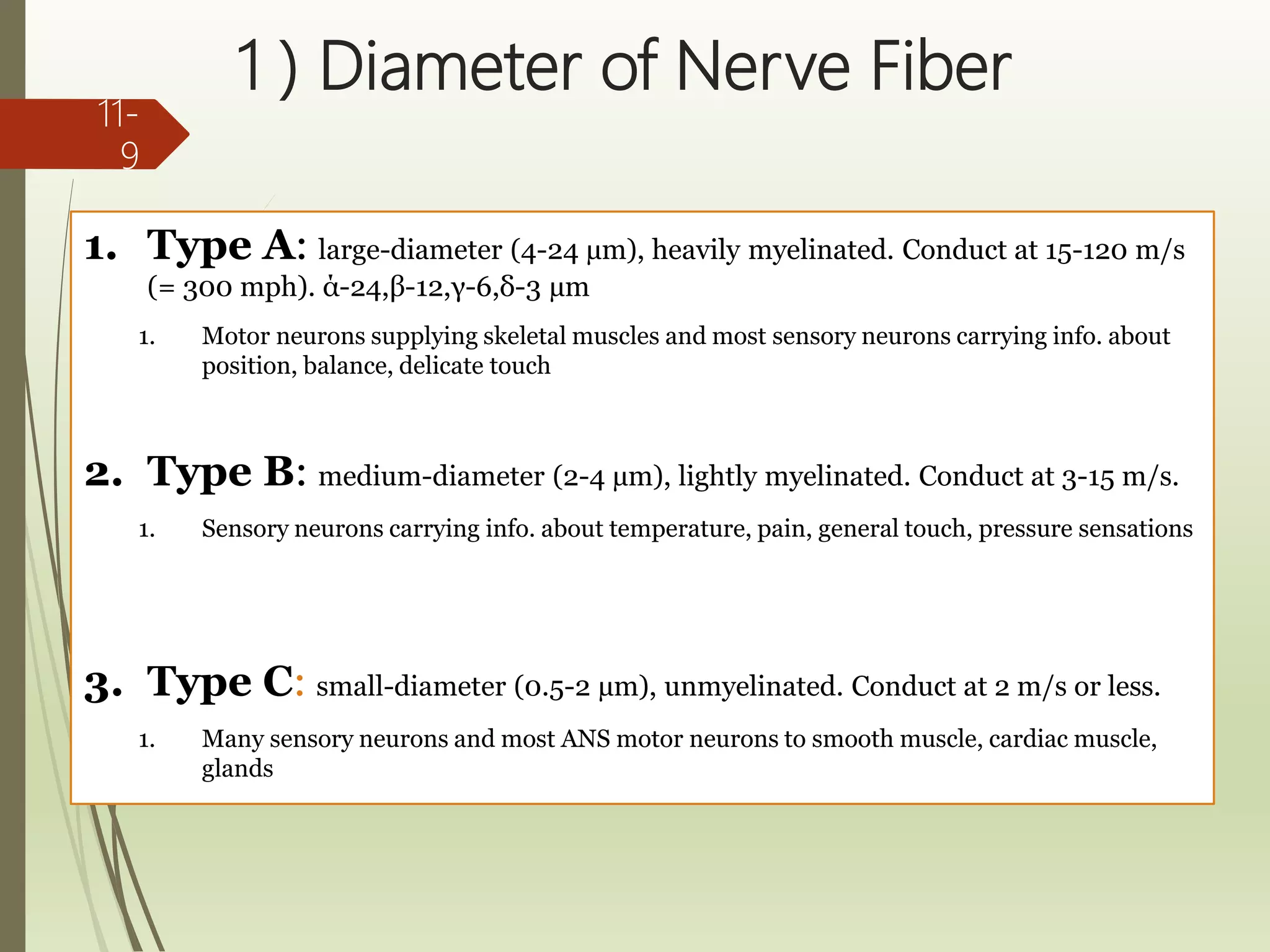 1. classification of nerves BY DR QAZI IMTIAZ RASOOL | PPT