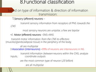 1. classification of nerves BY DR QAZI IMTIAZ RASOOL | PPT