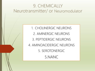 1. classification of nerves BY DR QAZI IMTIAZ RASOOL | PPTX