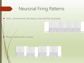 1. classification of nerves BY DR QAZI IMTIAZ RASOOL | PPT