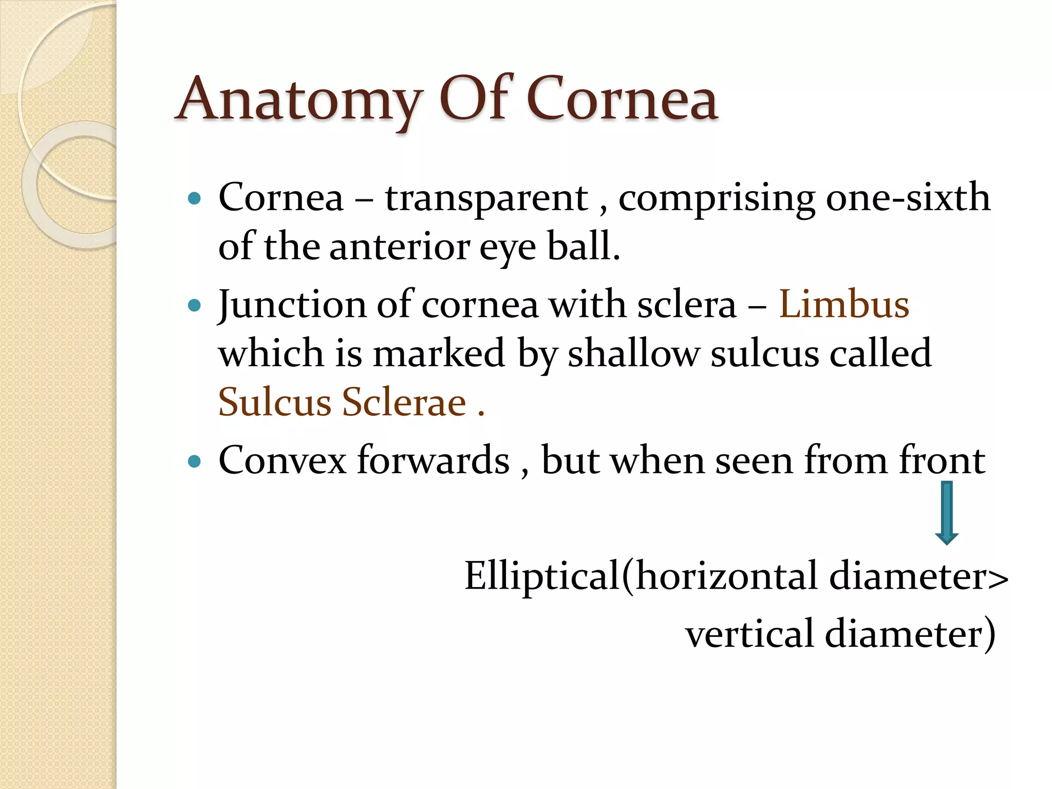 1.anatomy , physiology , pathology of cornea | PPTX