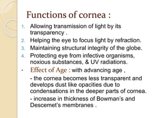 1.anatomy , physiology , pathology of cornea | PPT