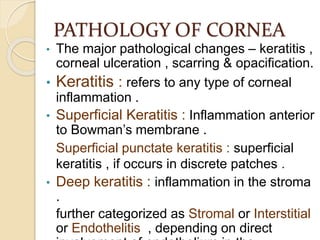 1.anatomy , physiology , pathology of cornea | PPTX